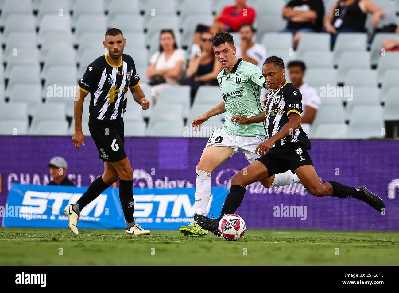 9th February 2025; Campbelltown Sports Stadium, Sydney, NSW, Australia ...