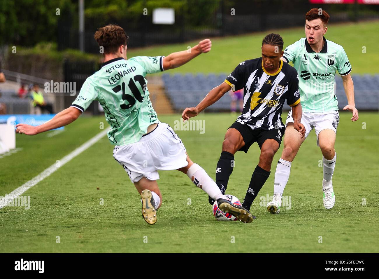 9th February 2025; Campbelltown Sports Stadium, Sydney, NSW, Australia ...