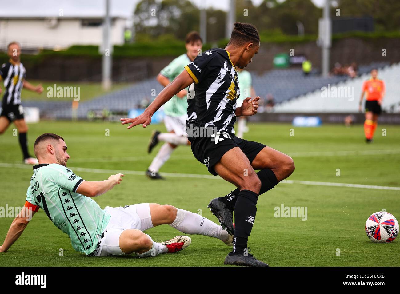 9th February 2025; Campbelltown Sports Stadium, Sydney, NSW, Australia ...