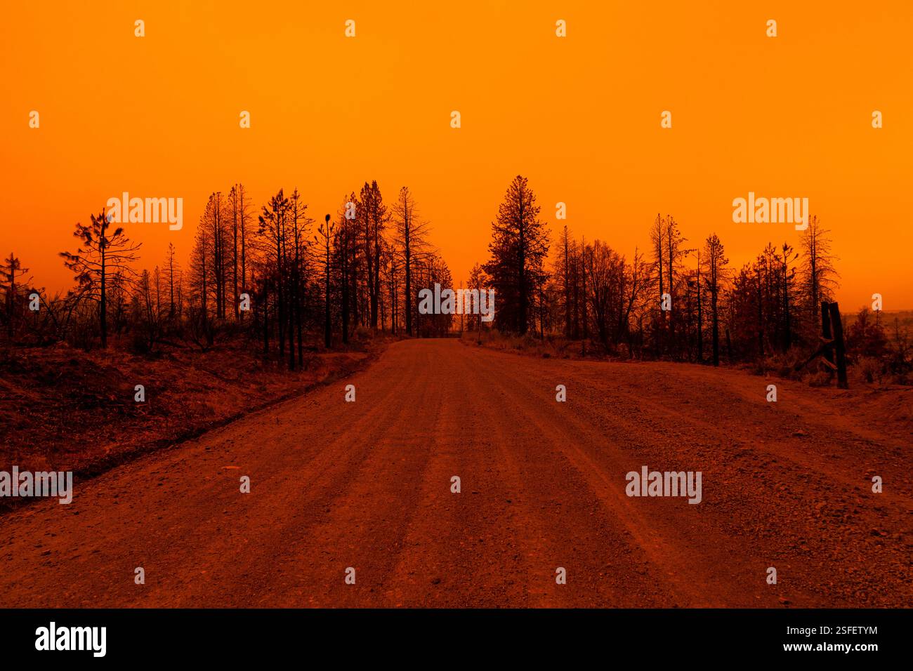 California fire smoke breathing hi-res stock photography and images - Alamy