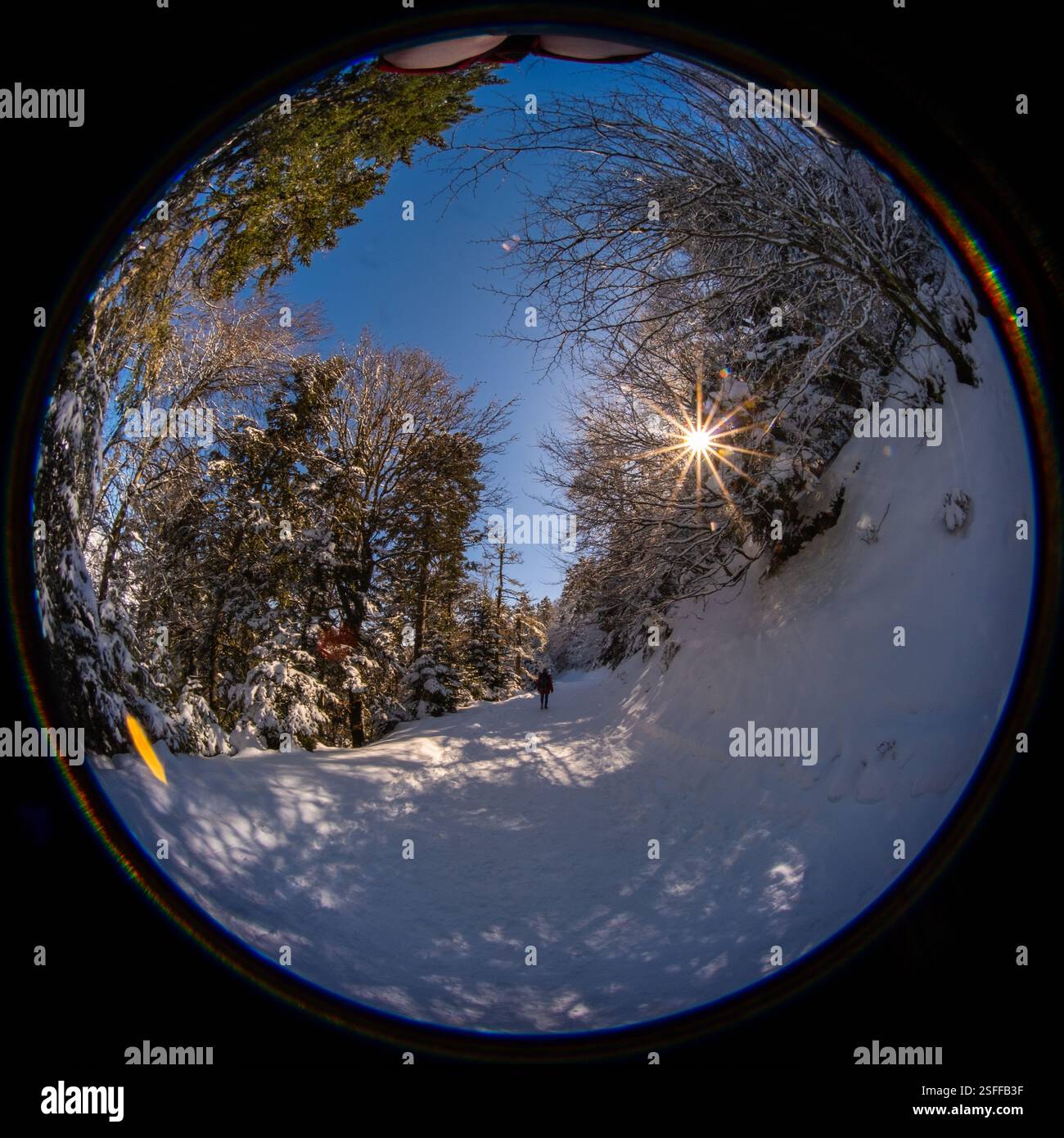 circular fisheye view of a small woman walking along a snowy path in ...
