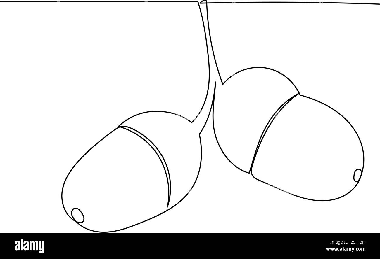 acorns continuous line drawing, vector Stock Vector Image & Art - Alamy