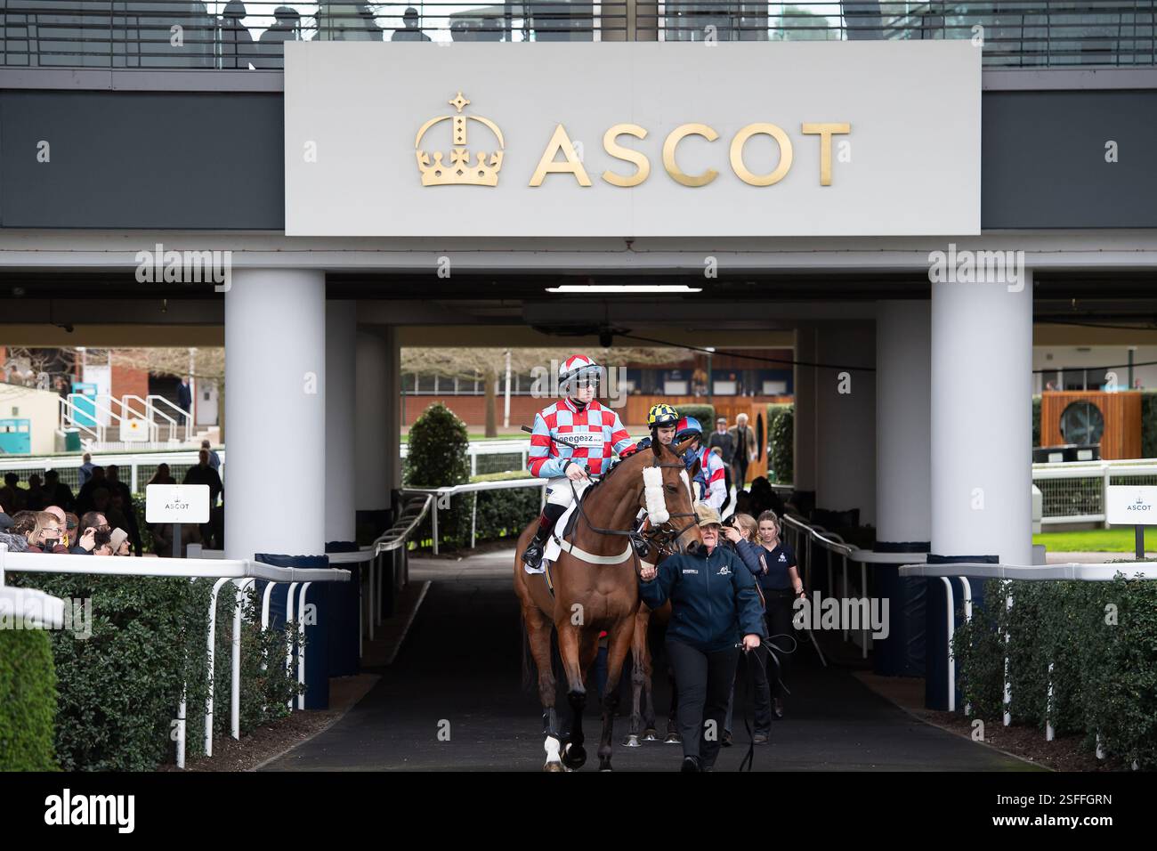 Kilbeg king horse hi-res stock photography and images - Alamy