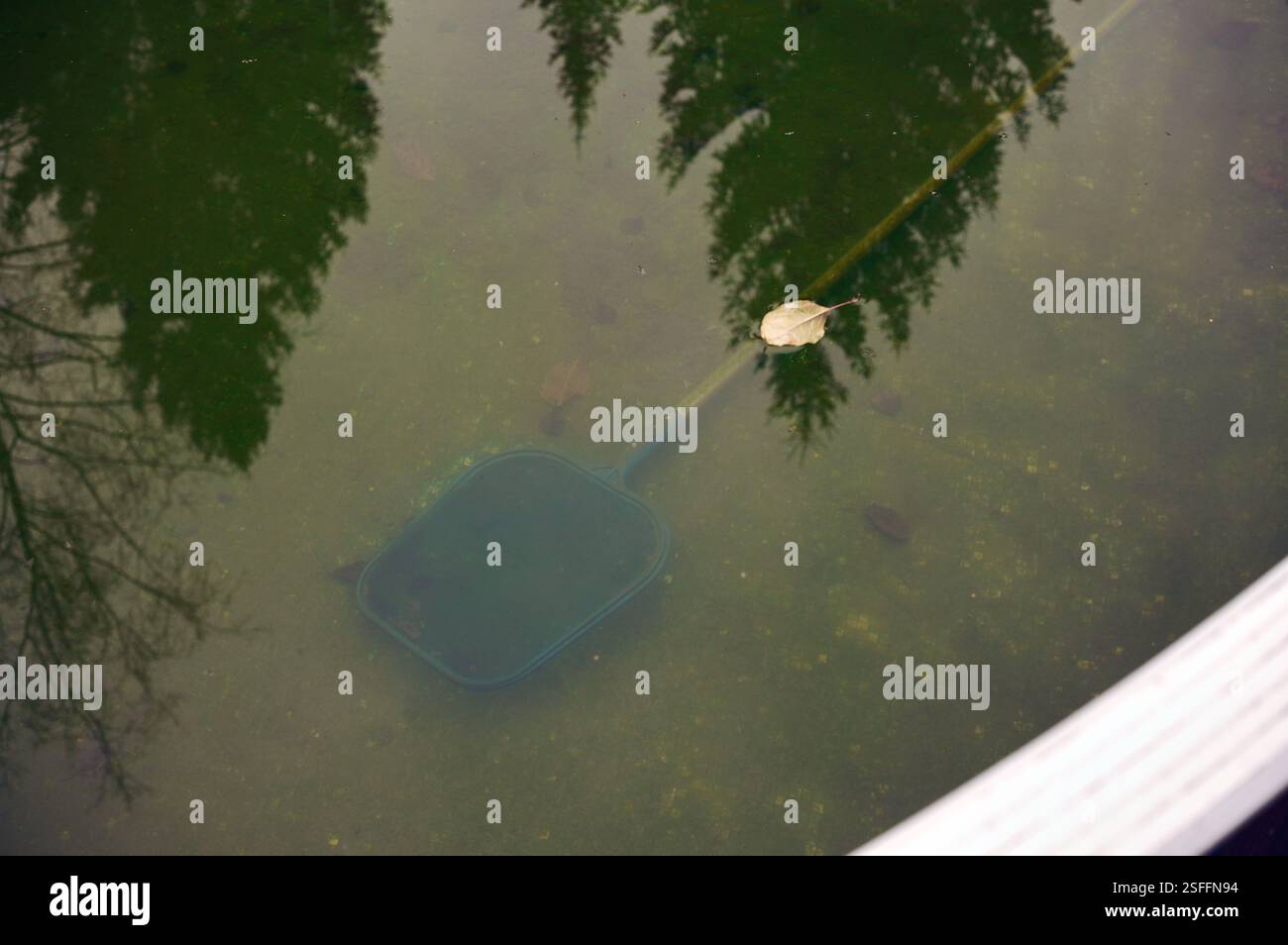 a drowned pool net on the bottom of a dirty above ground pool Stock ...