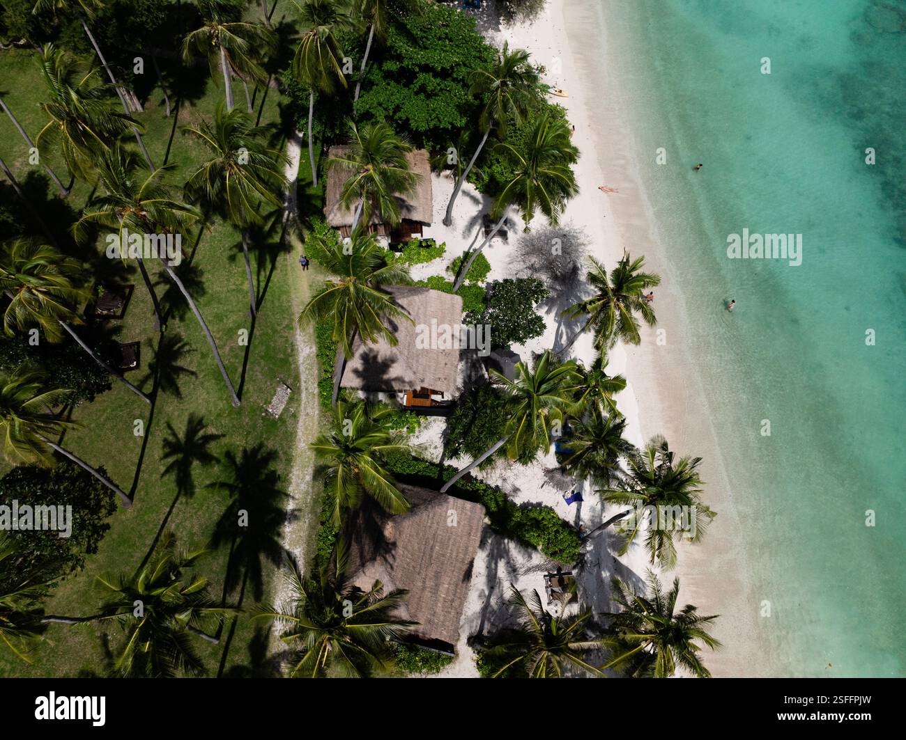 Traditional thatched roof huts surrounded by palm trees on a sandy ...