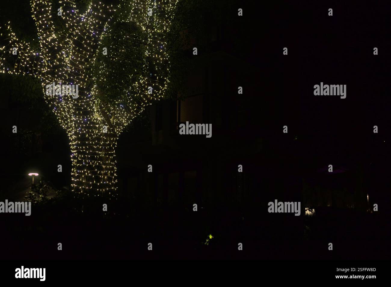 Wrapped trunks hi-res stock photography and images - Alamy