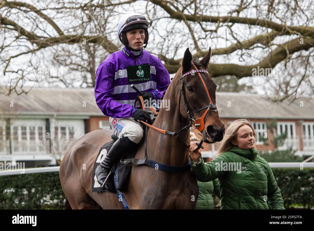 Rare edition horse hi-res stock photography and images - Alamy