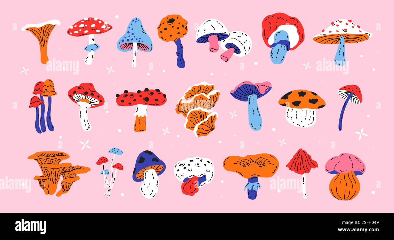 Set of different forest seasonal mushrooms toadstool, chanterelle, fly ...