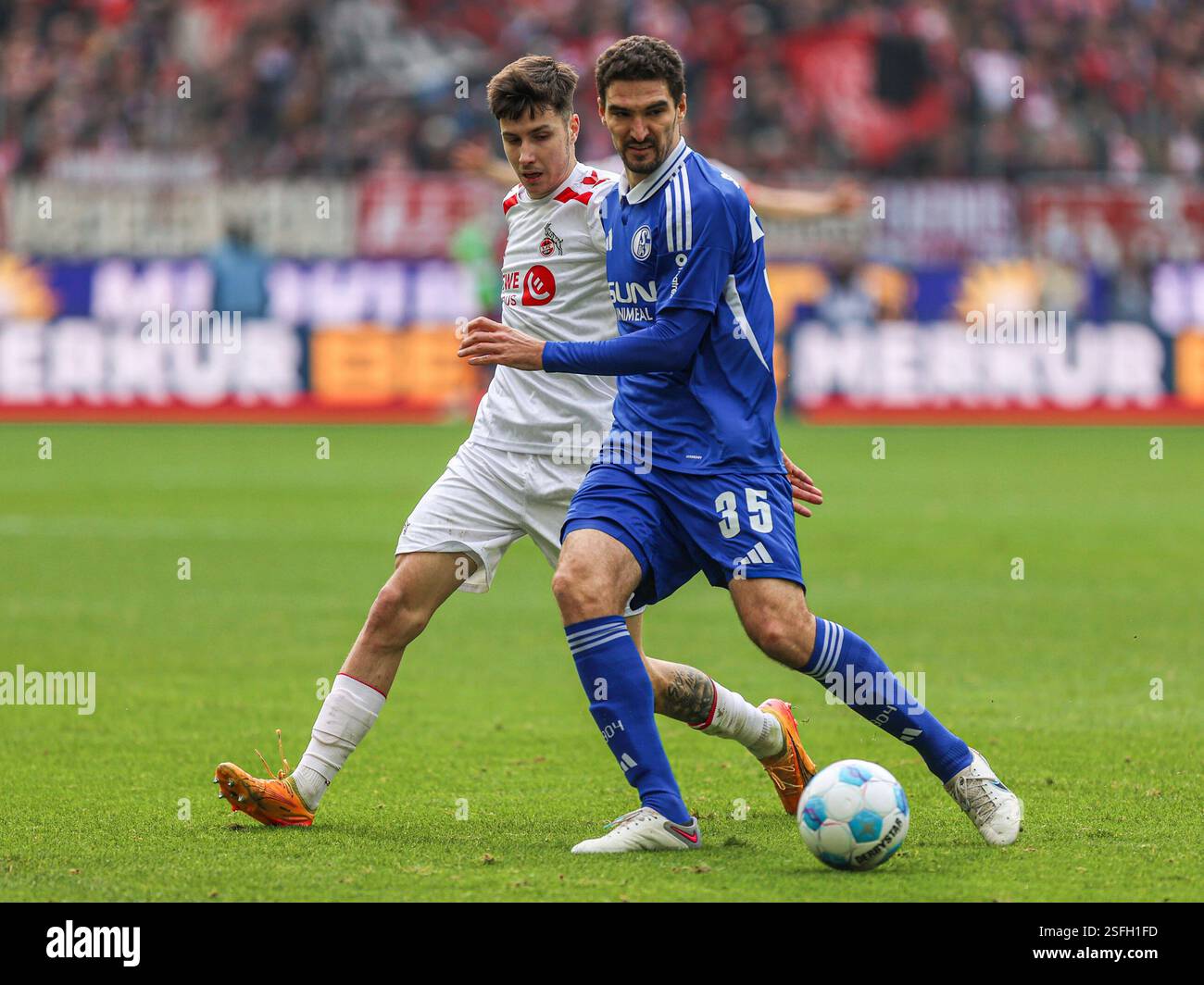 Denis Huseinbasic (FC Köln/FC Koeln, #8) im Zweikampf gegen Marcin Kaminski (FC Schalke 04, #35 ...