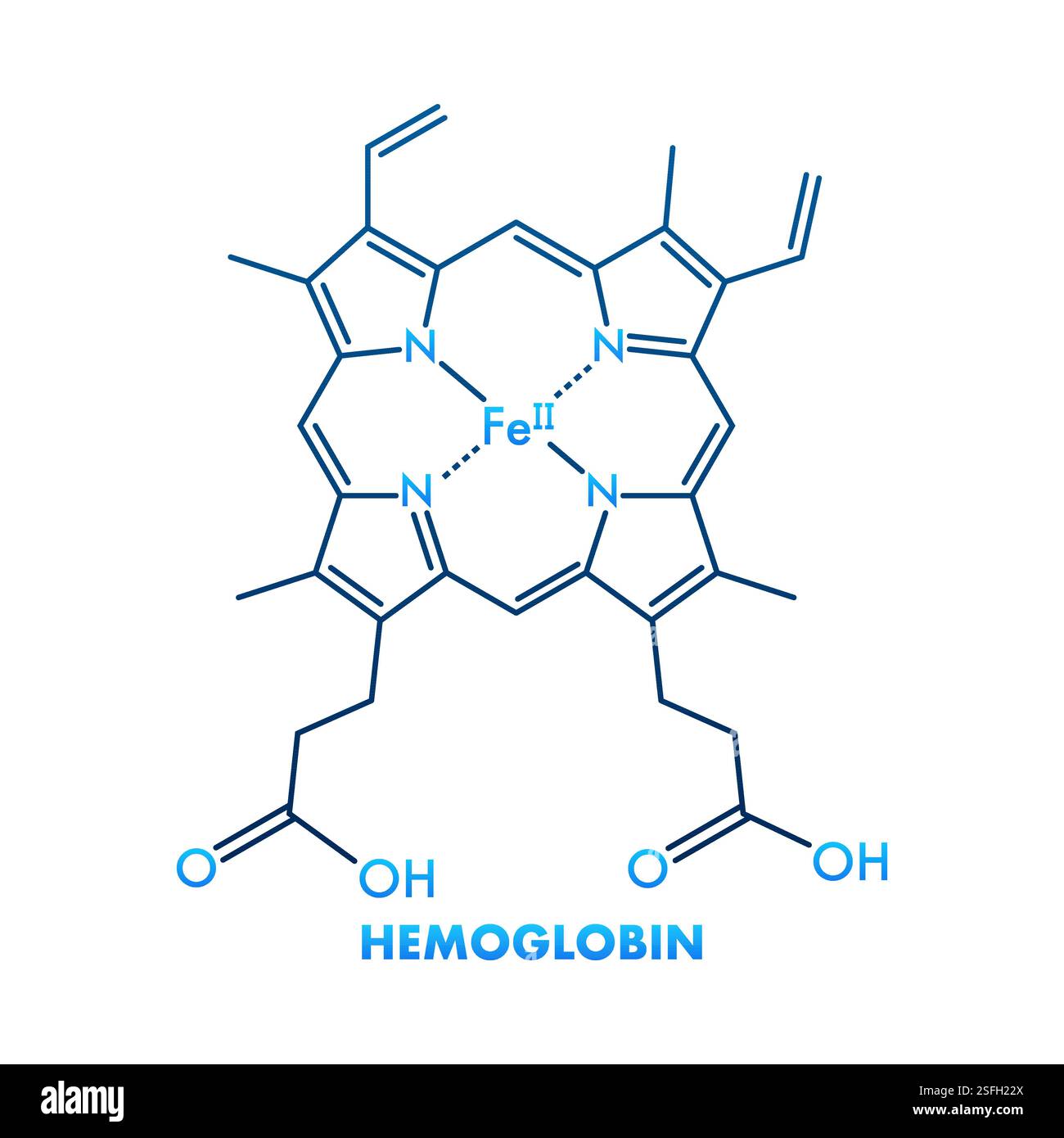 Hemoglobin molecular formula showing iron and nitrogen atoms Stock ...