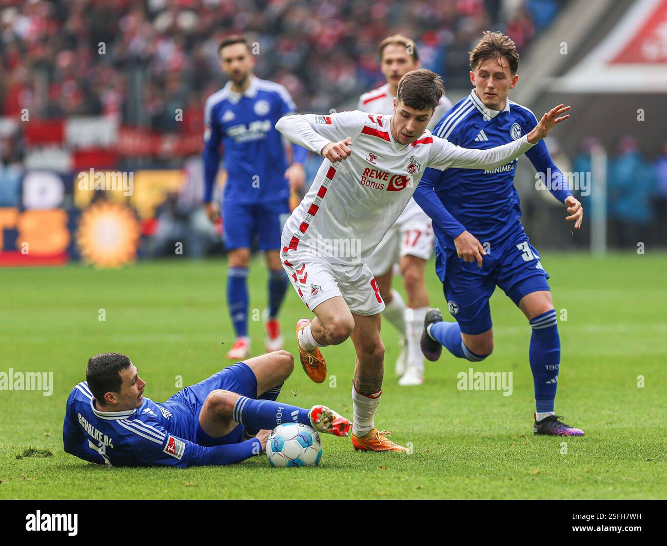 Ron Schallenberg (FC Schalke 04, #6) im Zweikampf gegen Denis Huseinbasic (FC Köln/FC Koeln, #8 ...