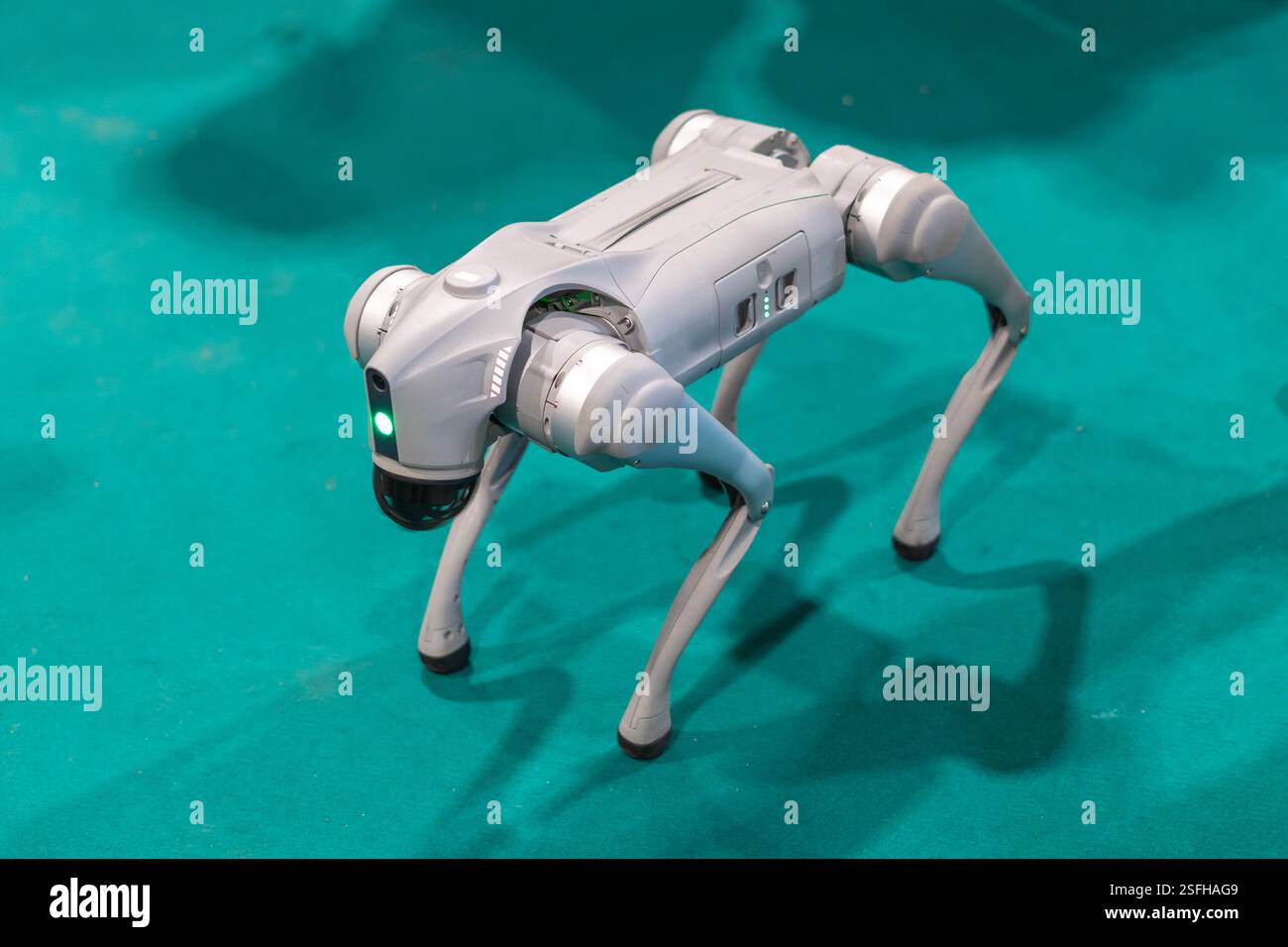 Gray quadruped robotic dog with visible jointed legs, standing on a ...