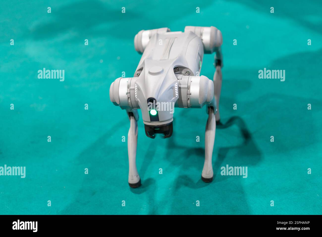 Gray quadruped robotic dog with visible jointed legs, standing on a ...