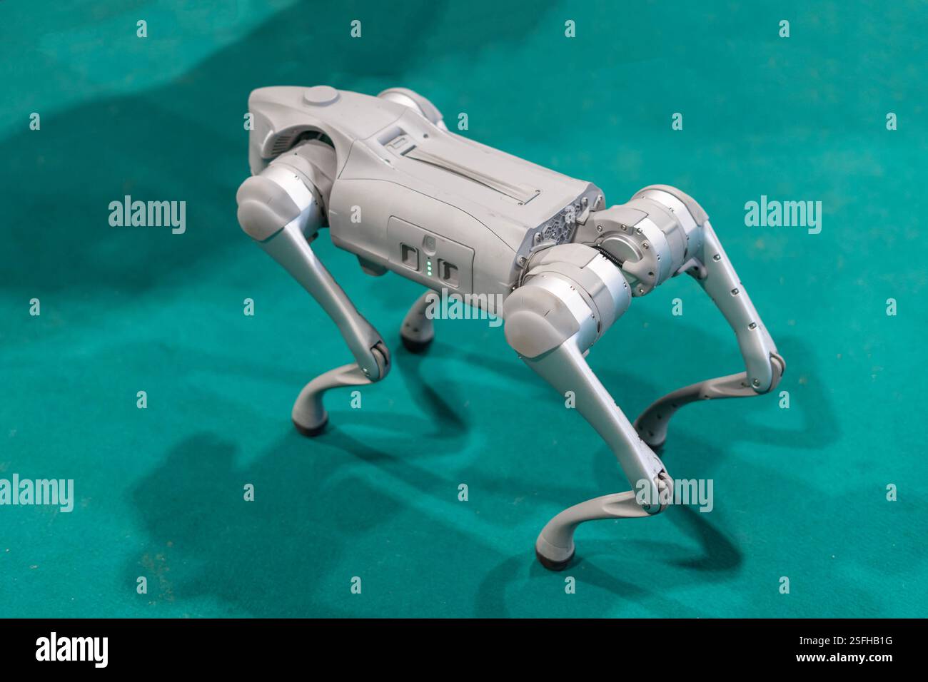 Gray quadruped robotic dog with visible jointed legs, standing on a ...