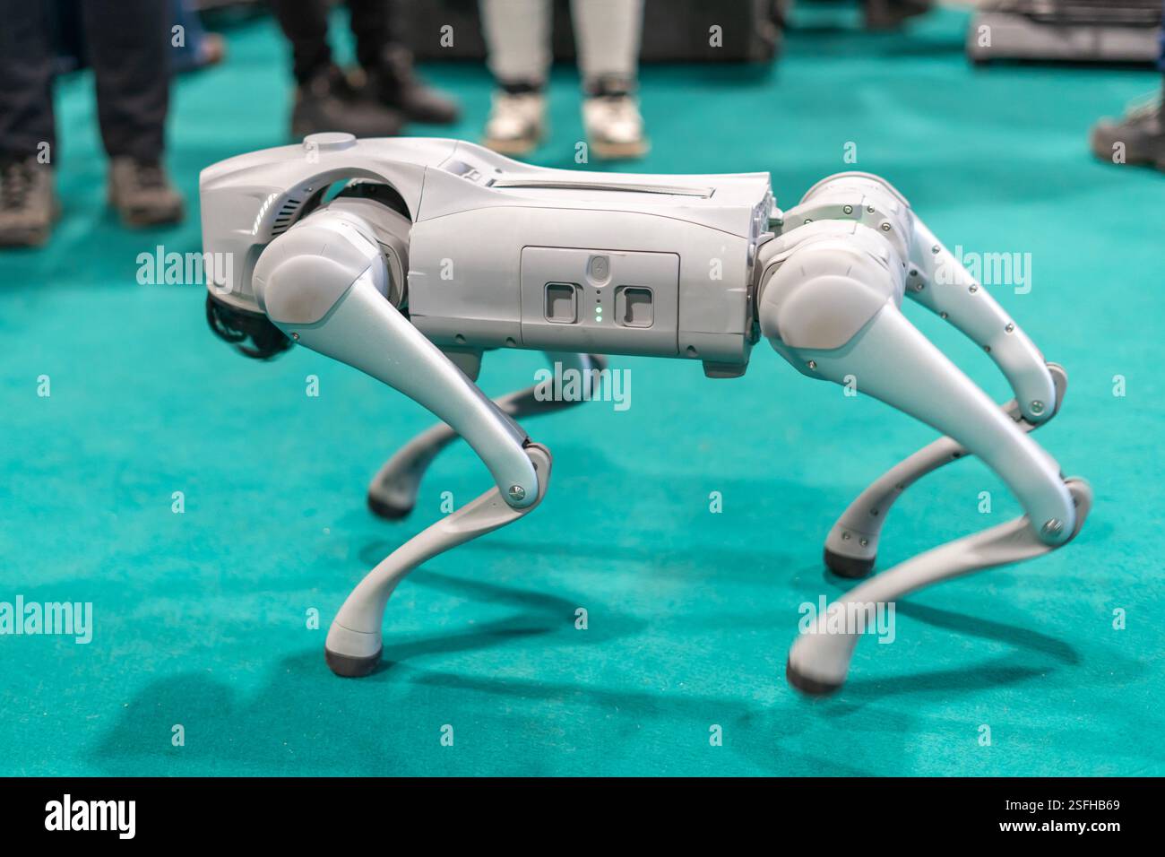 Gray quadruped robotic dog with visible jointed legs, standing on a ...