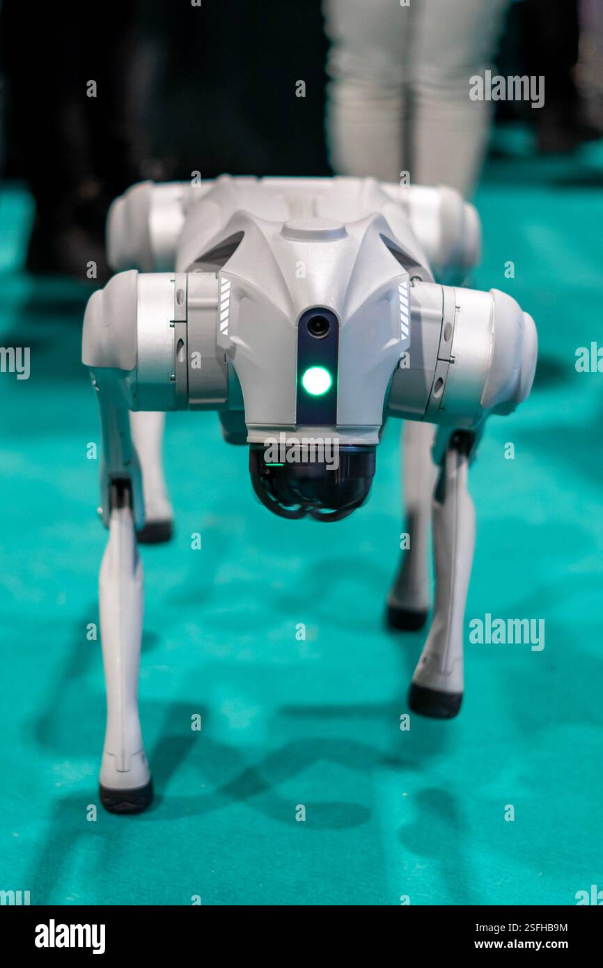 Gray quadruped robotic dog with visible jointed legs, standing on a ...
