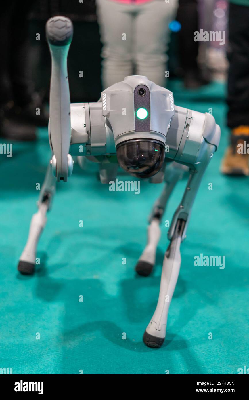 Gray quadruped robotic dog with visible jointed legs, standing on a ...