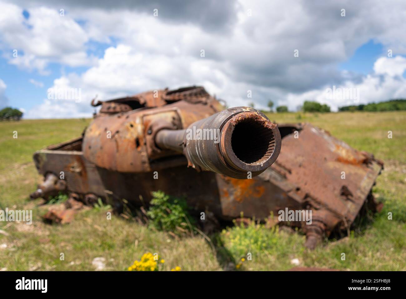 Old destroyed T-54 Russian tank on a grassy field Stock Photo - Alamy