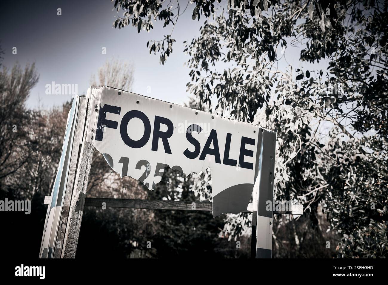 Broken For Sale sign in woodland area Stock Photo - Alamy