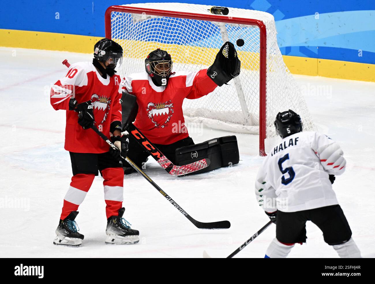 Harbin, China's Heilongjiang Province. 9th Feb, 2025. Goalkeeper Rashed ...