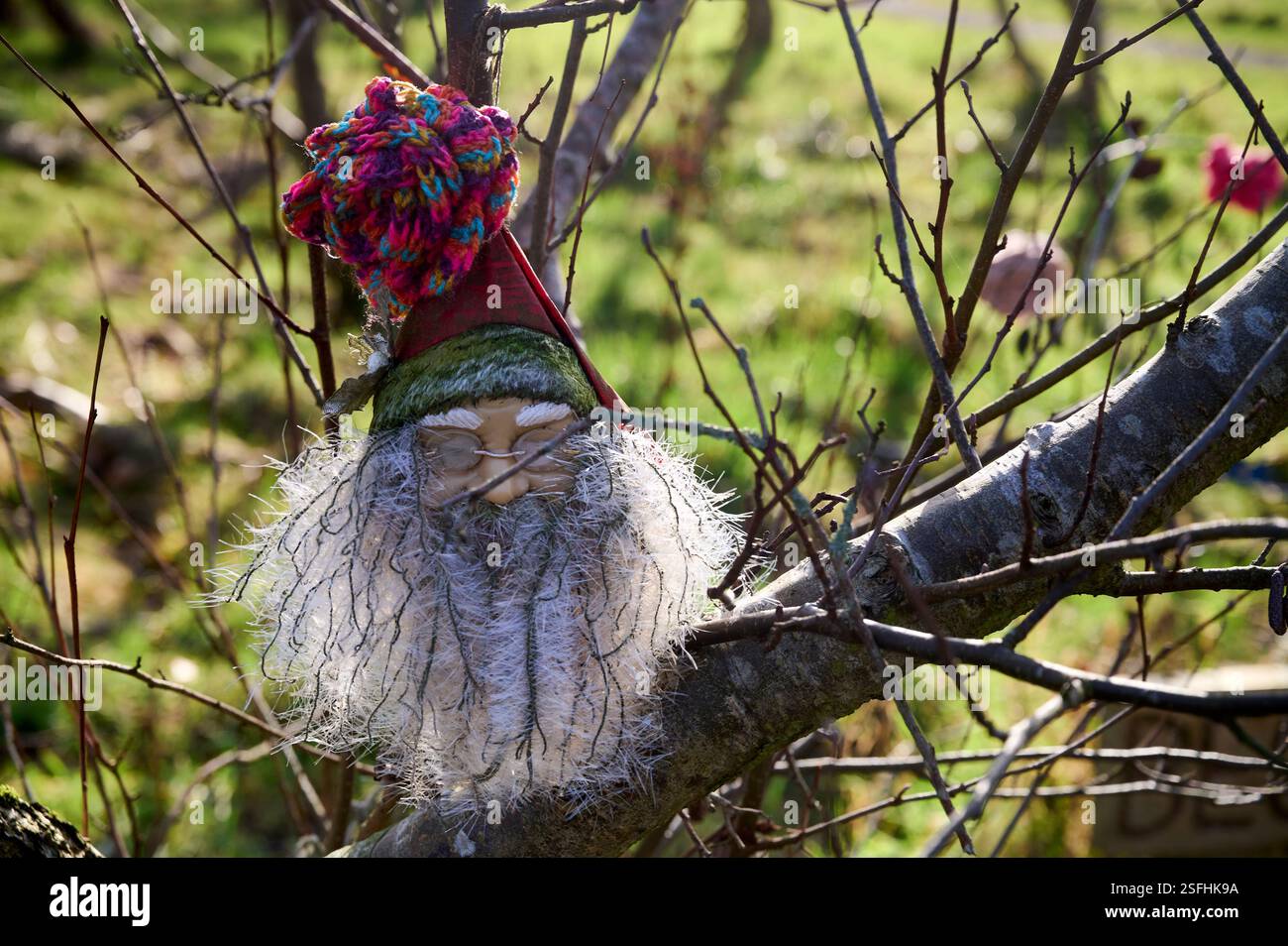 Tiny wizard like man hidden in a tree Stock Photo - Alamy