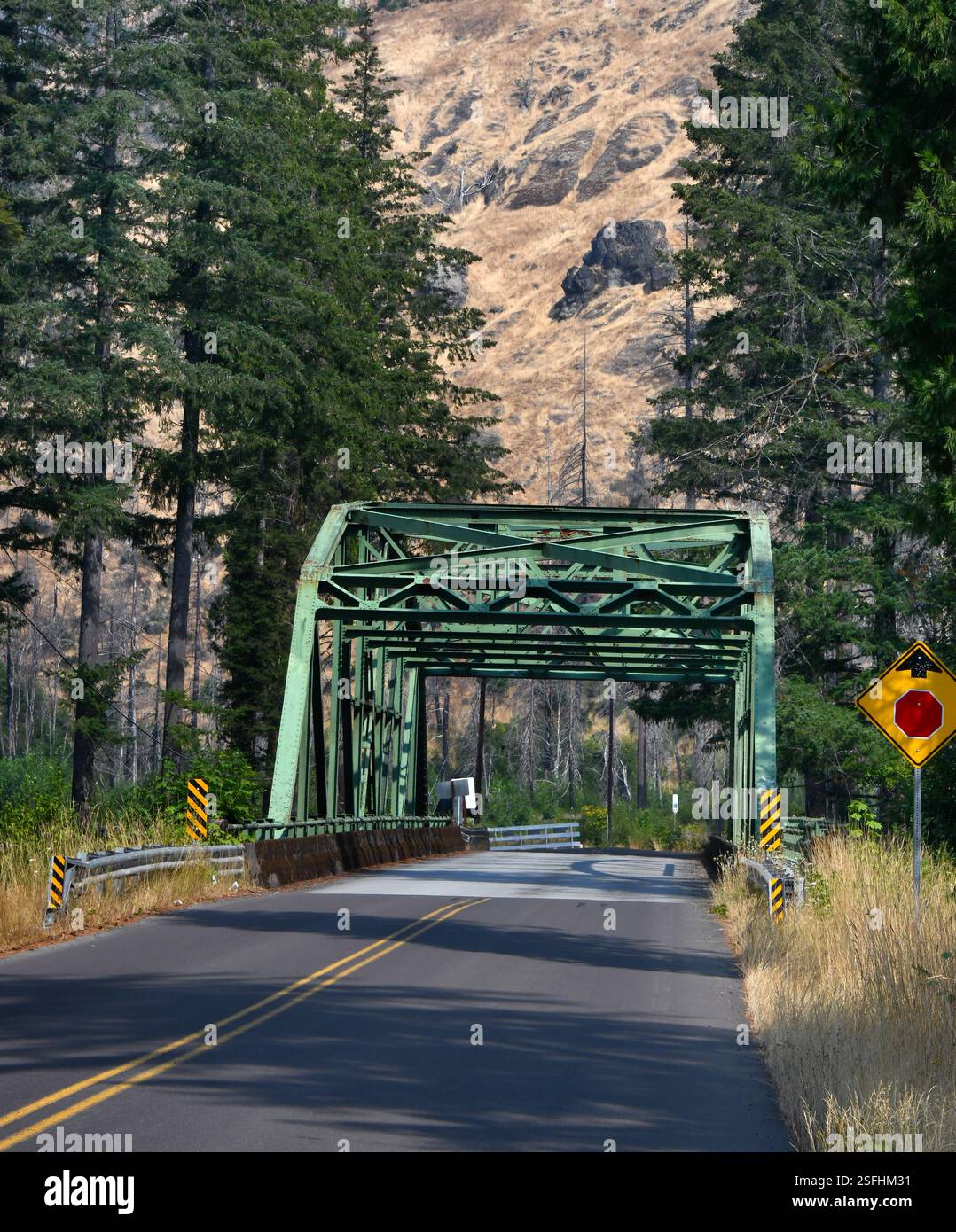 Green metal bridge crosses the McKenzie River and approaches the Delta ...