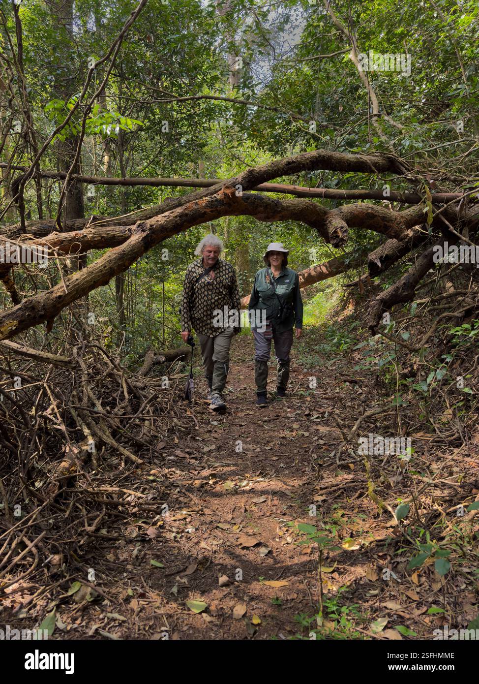 The pristine rain forest reserve at Fringeford, a nature preserve and ...