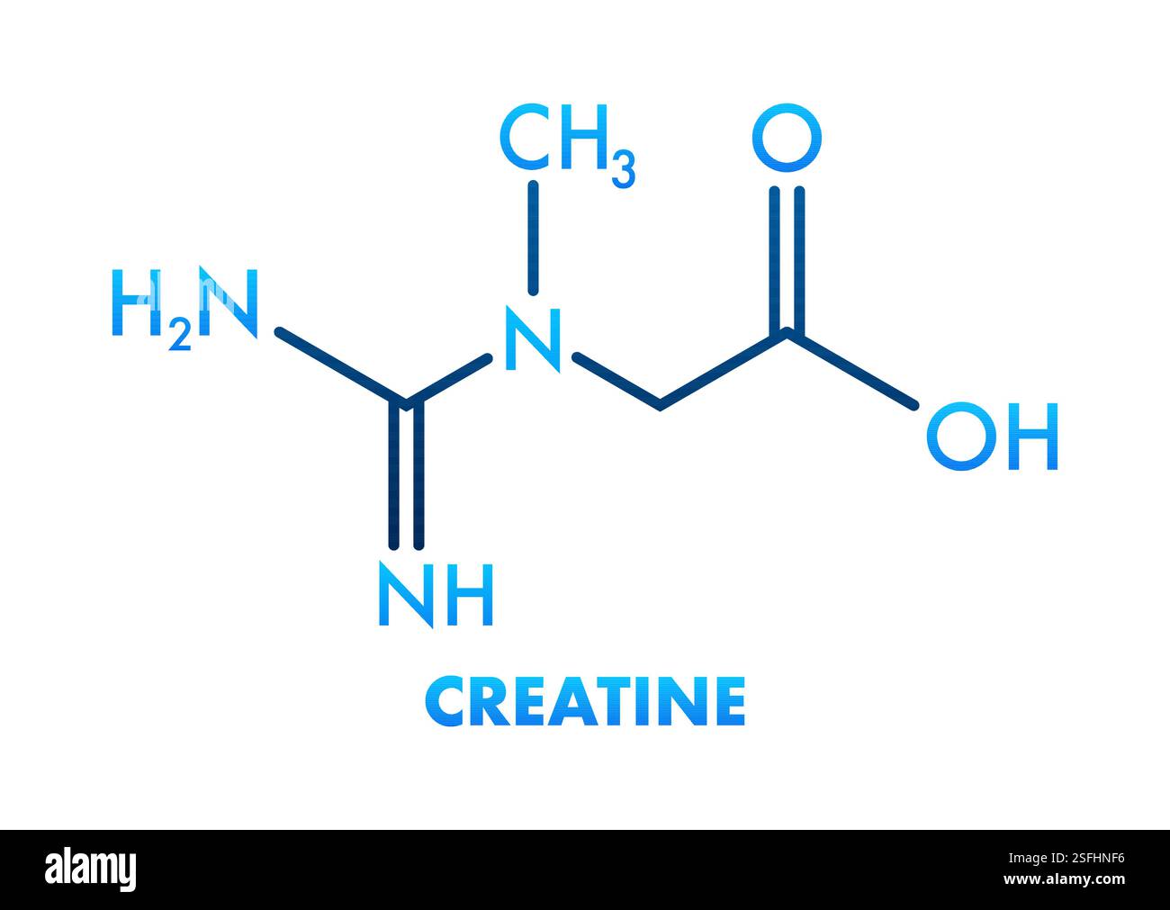 Skeletal Formula of Creatine Showing Nitrogen, Hydrogen, Carbon and ...