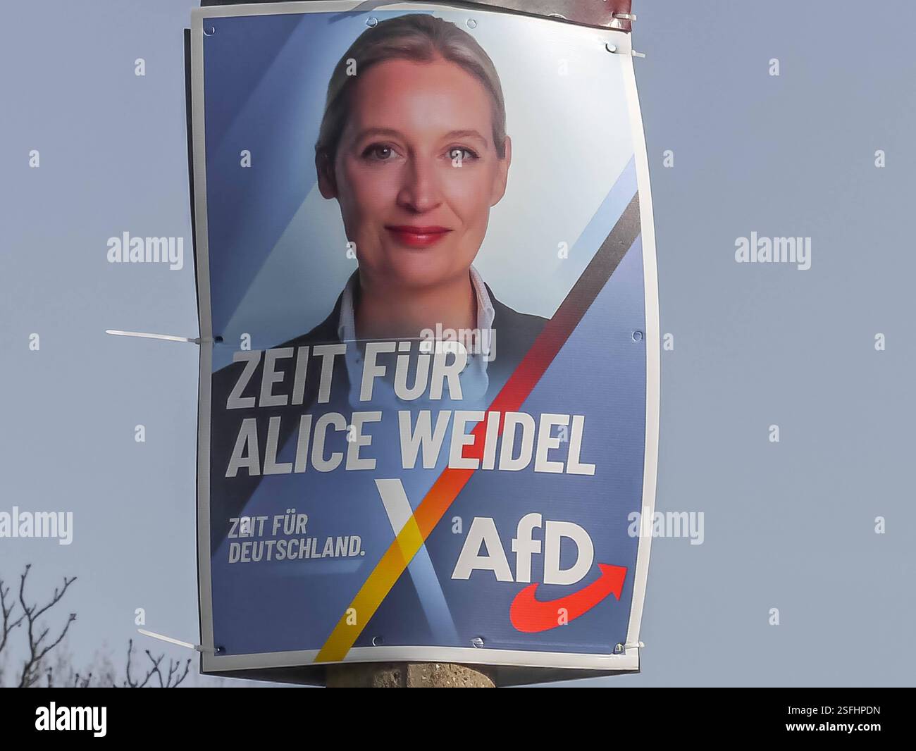 Deutschland 2025: Wahlplakate für die Bundestagswahl 2025 Im Bild: AfD ...