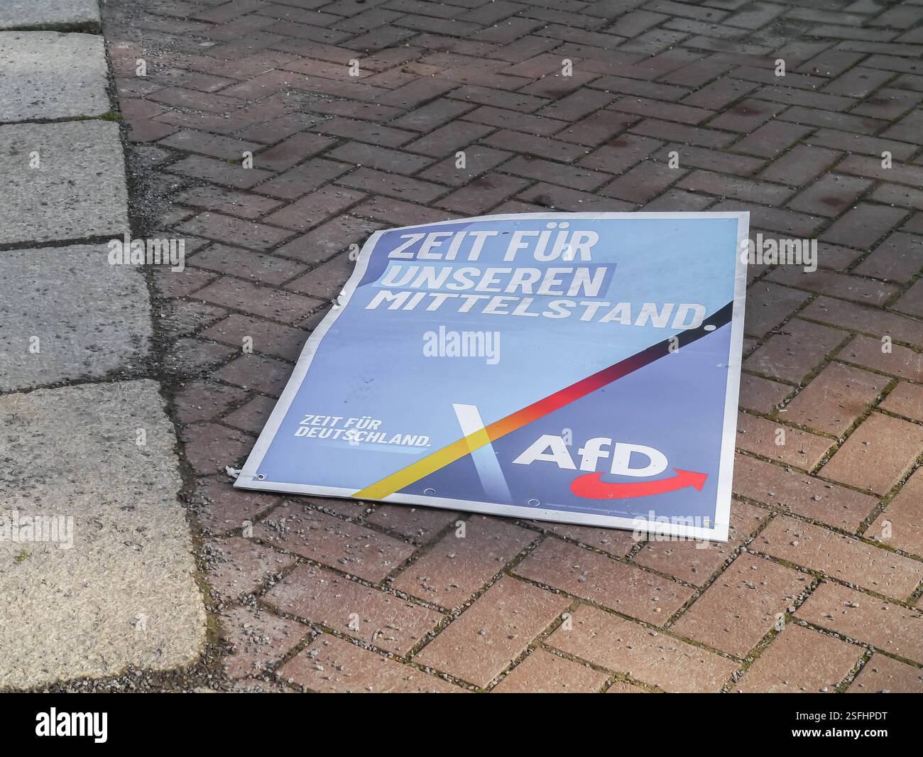 Deutschland 2025: Wahlplakate für die Bundestagswahl 2025 Im Bild: Afd ...