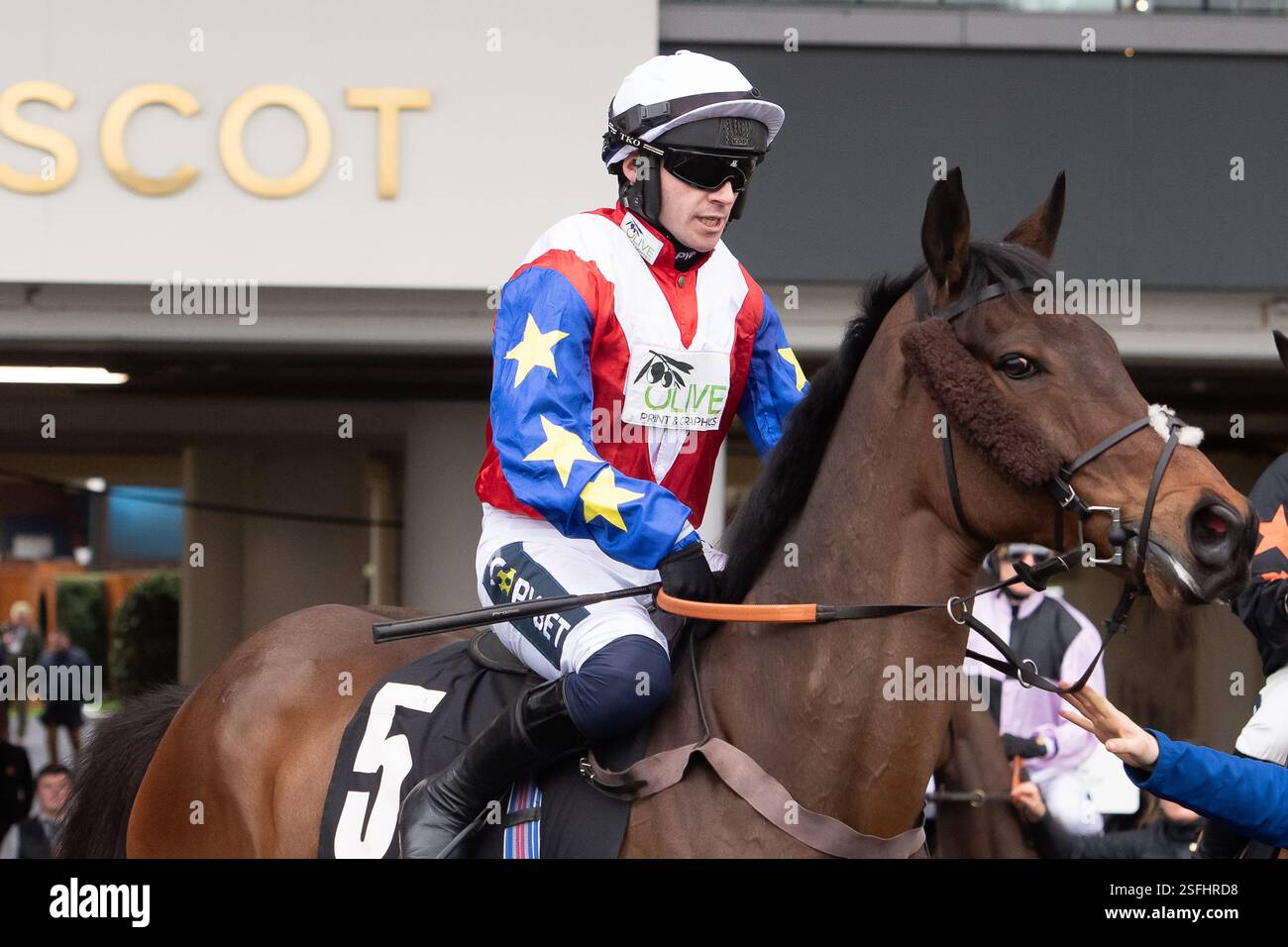 Revels hill horse hi-res stock photography and images - Alamy