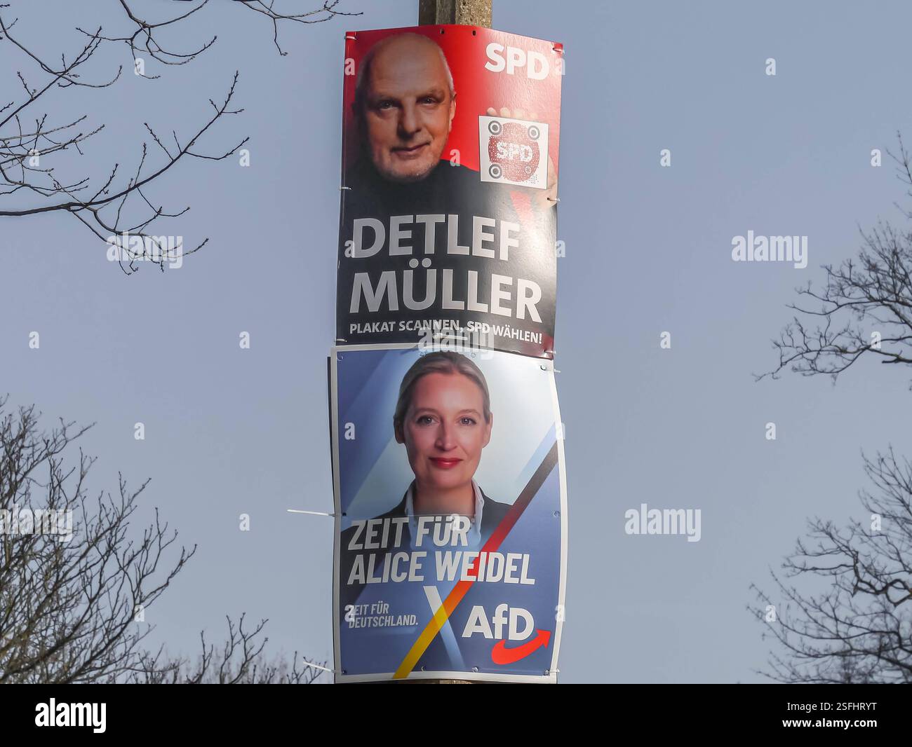 Deutschland 2025: Wahlplakate für die Bundestagswahl 2025 Im Bild: SPD ...