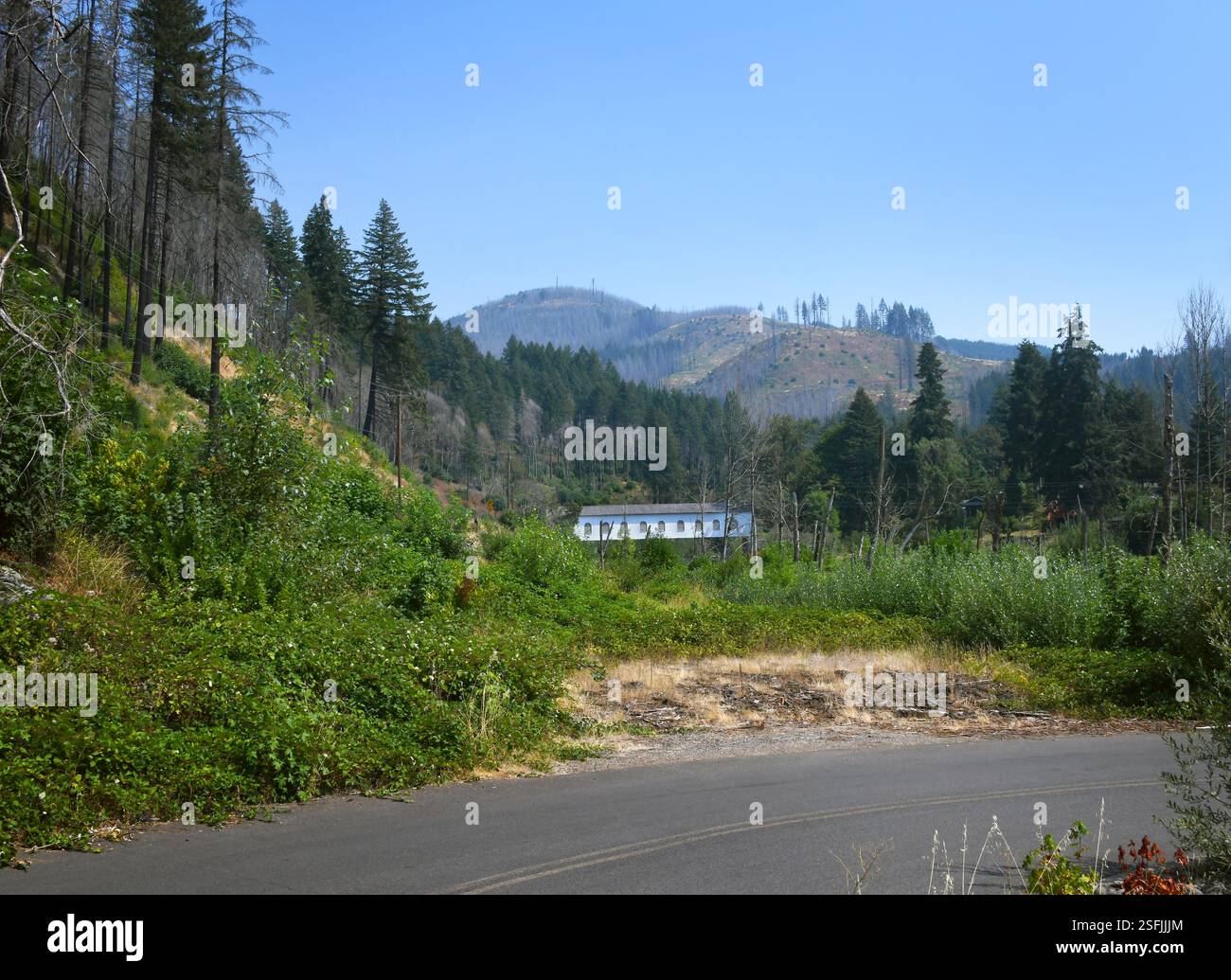 Good Pastures Covered Bridge, which crosses the McKenzie River ...
