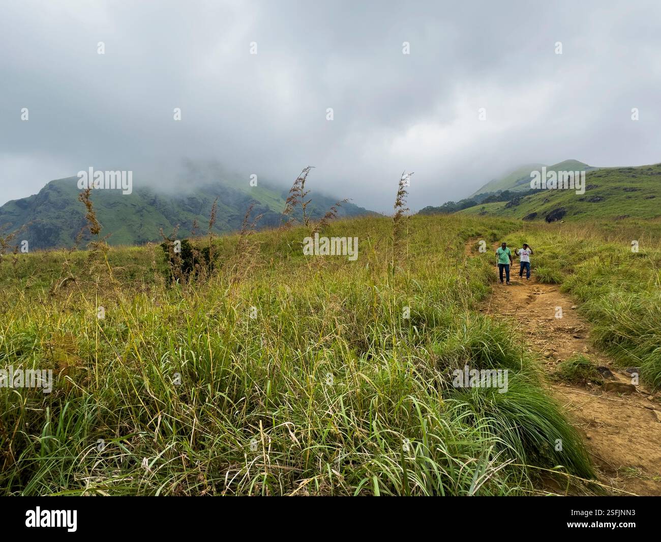 Hiking up Chembra Peak at 6980 feet, one of the talest mountain in the ...