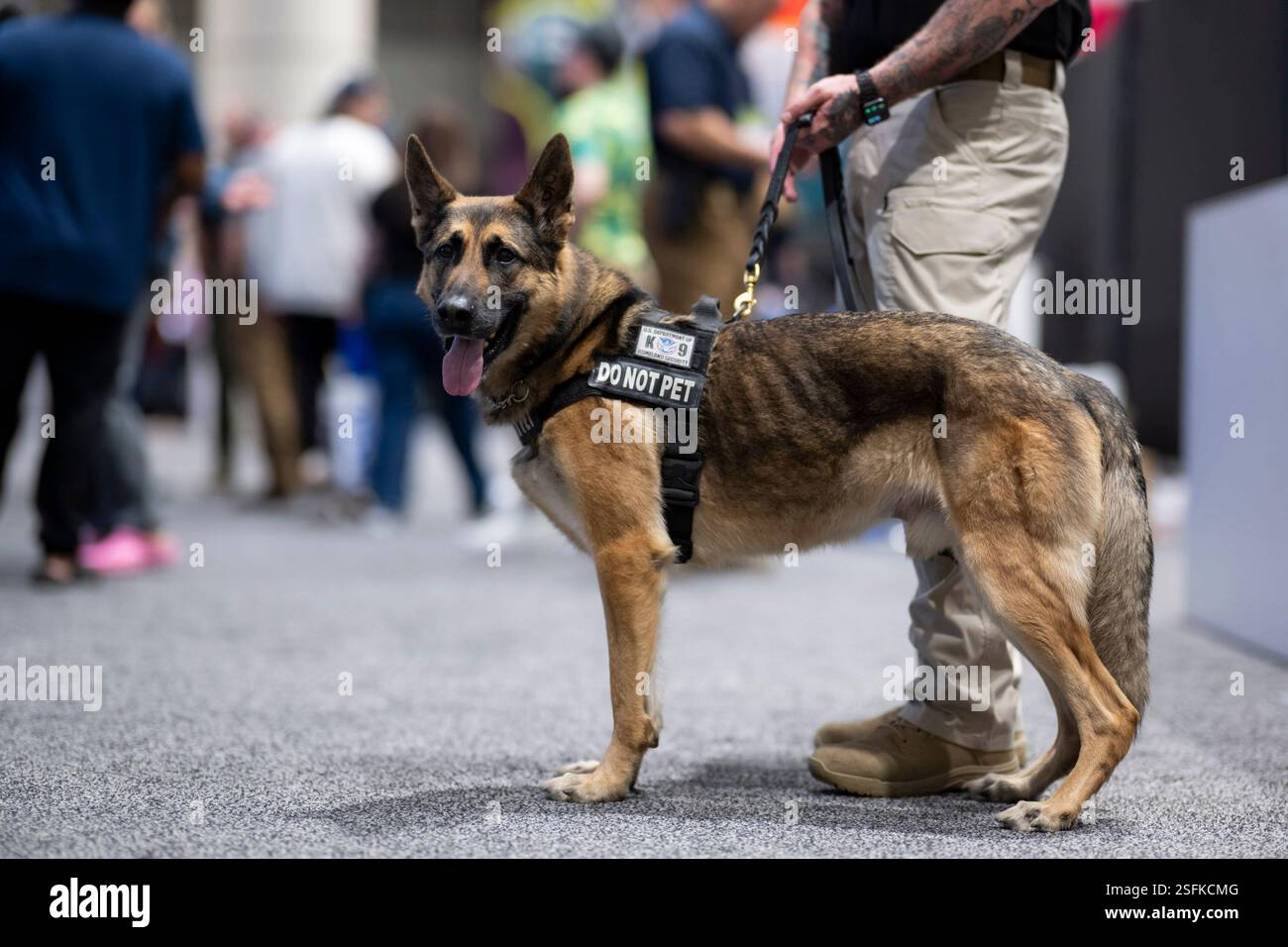 Employees with the Department of Homeland Security (DHS) Transportation ...