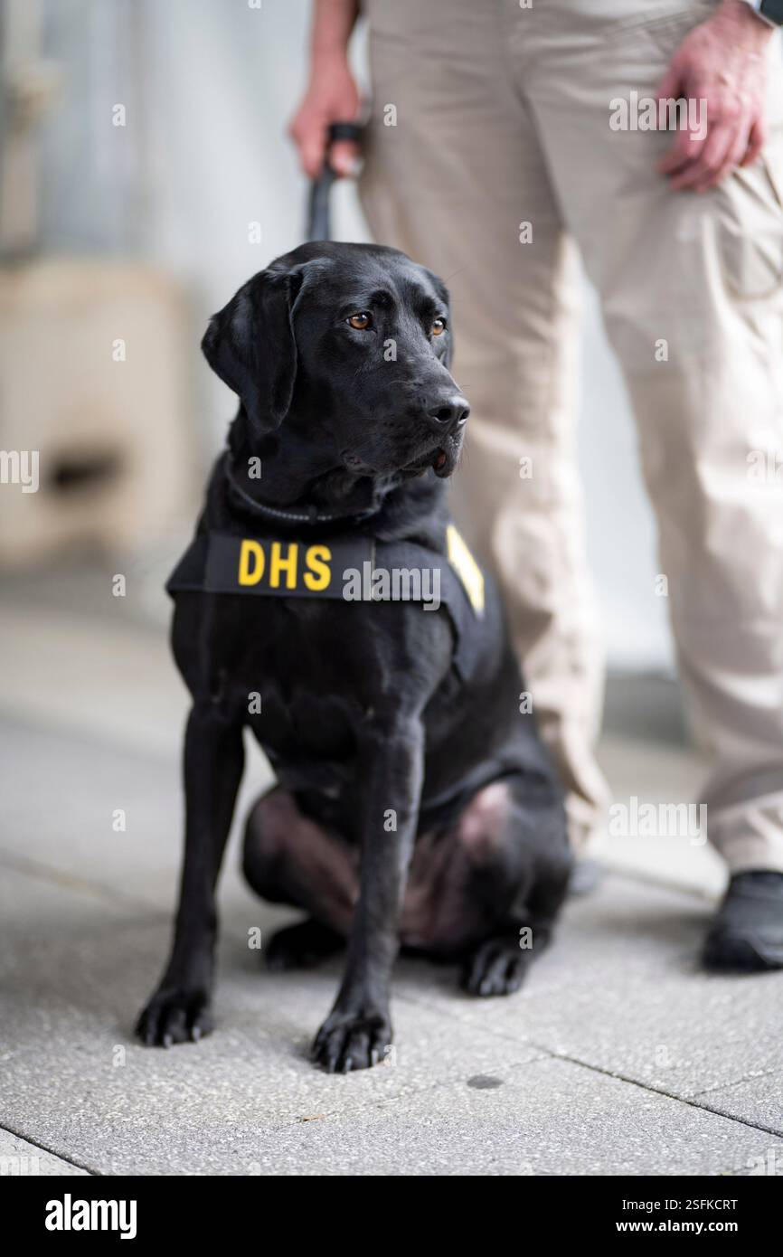 Employees with the Department of Homeland Security (DHS) Transportation ...
