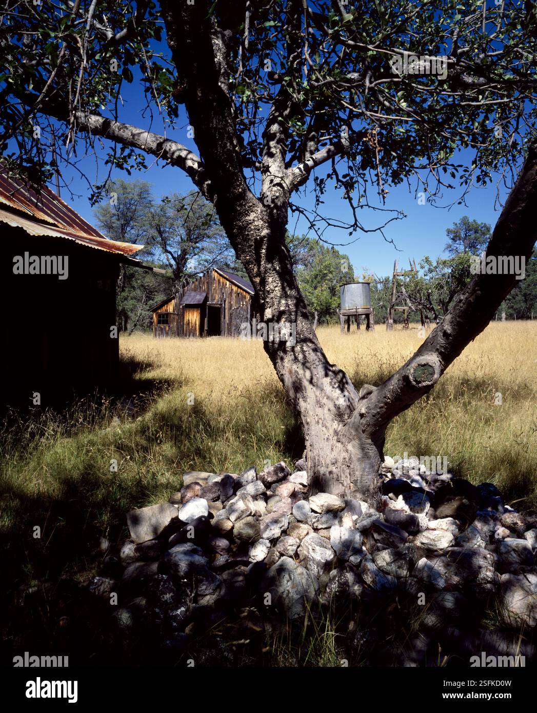 The Power family eked out a frontier-style livelihood in this remote ...