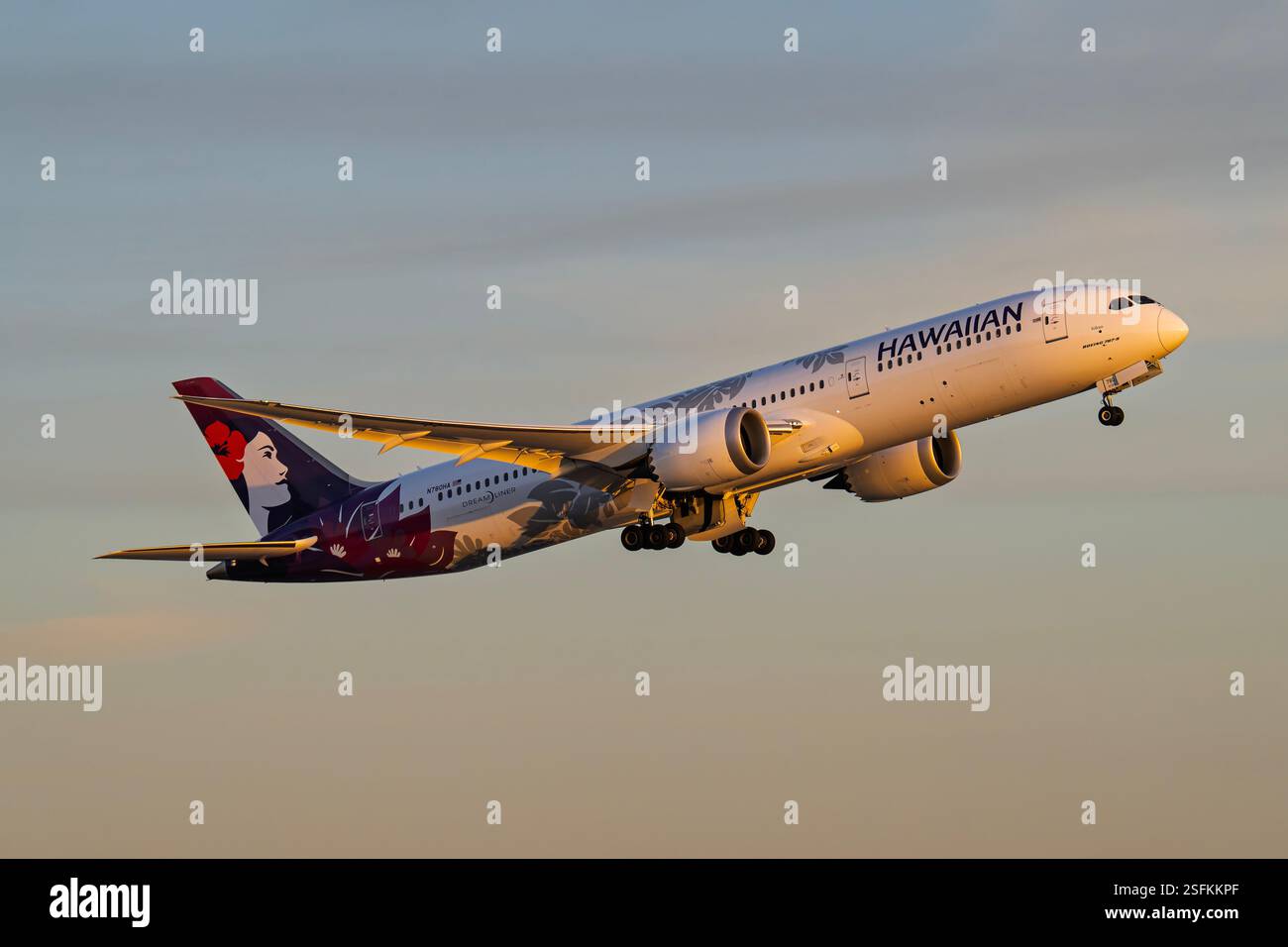 Sky Harbor International Airport 2-8-2025 Phoenix, AZ USA Hawaiian ...