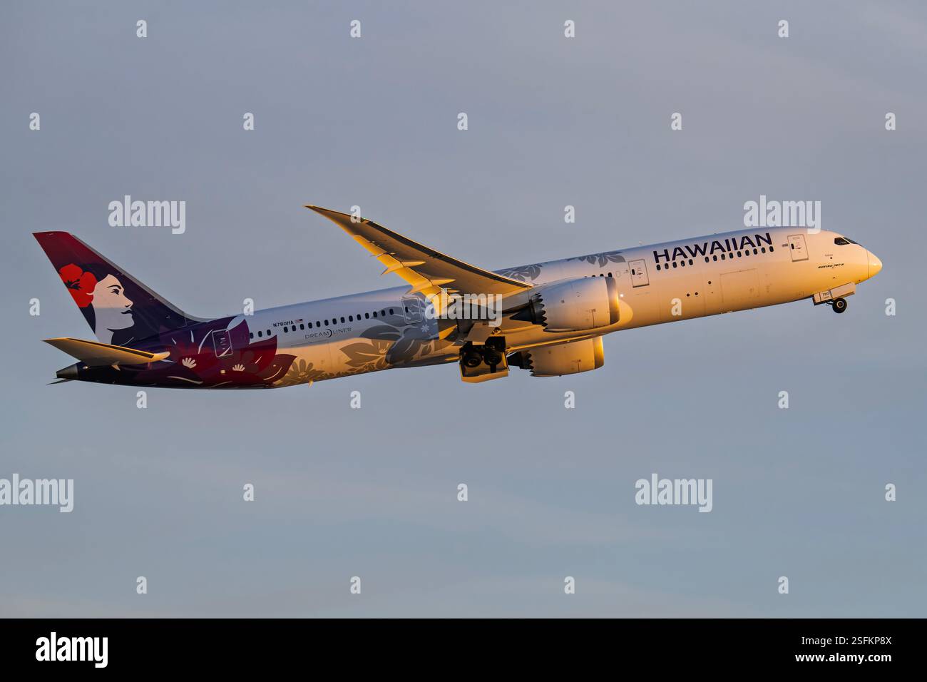 Sky Harbor International Airport 2-8-2025 Phoenix, AZ USA Hawaiian ...