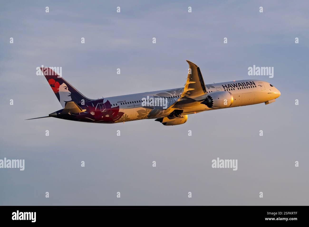 Sky Harbor International Airport 2-8-2025 Phoenix, AZ USA Hawaiian ...