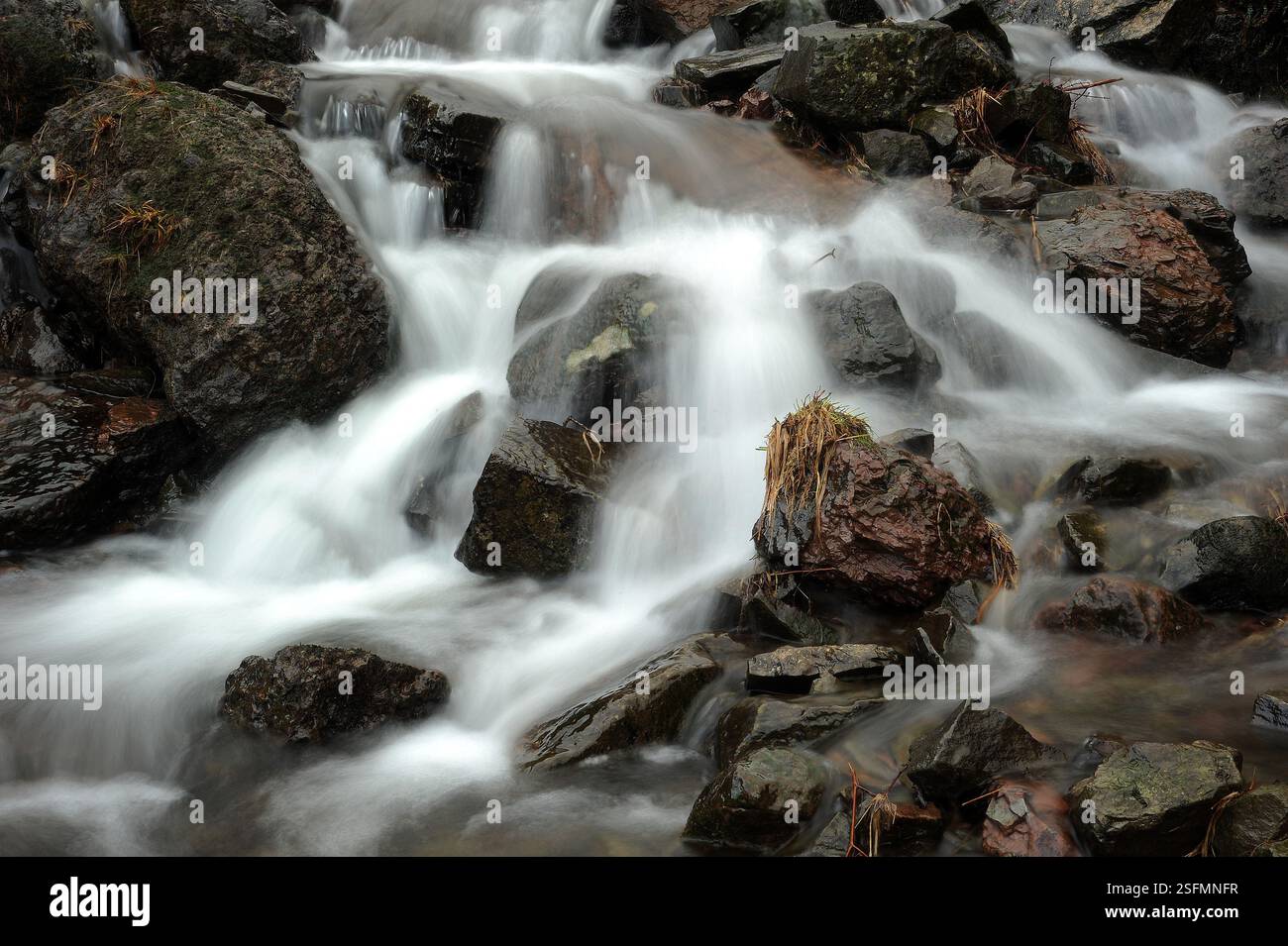 Tributary of the Afon Tarell at the side of the A470 between Storey ...