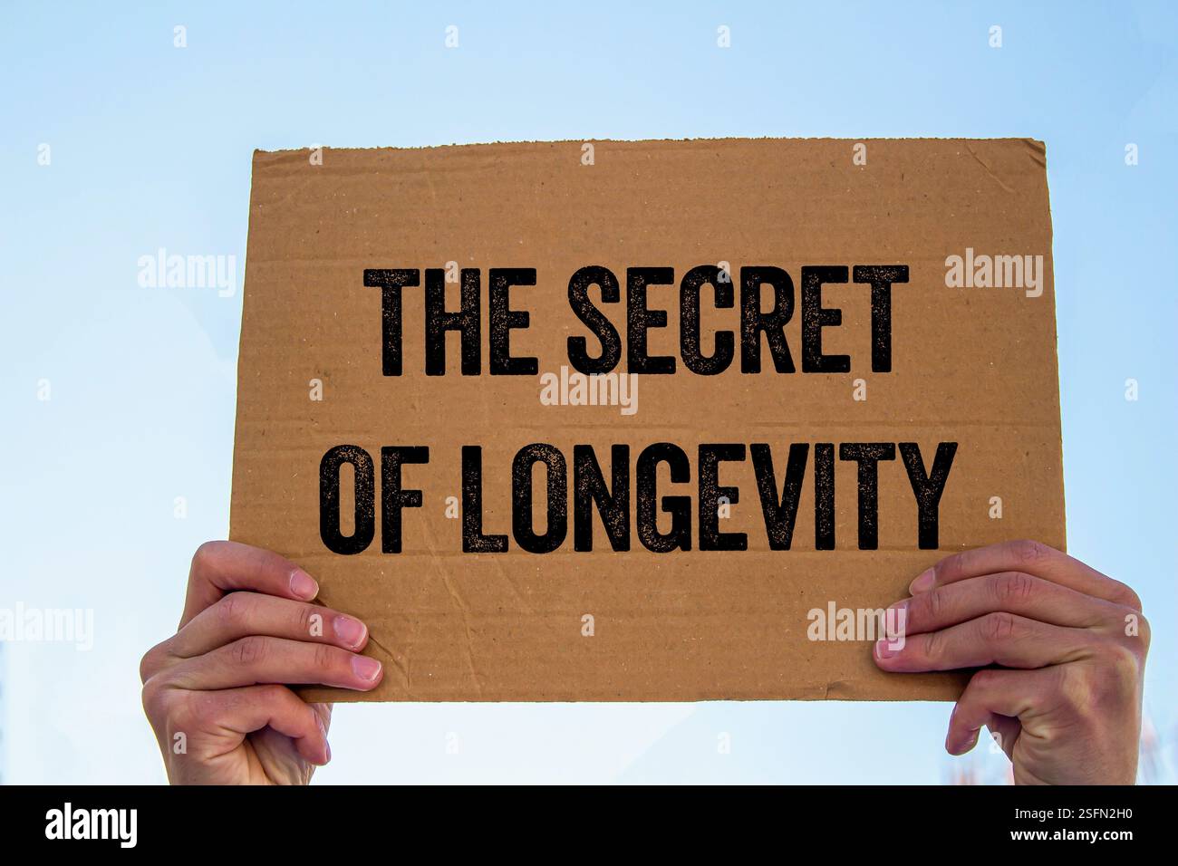 The secret of longevity message written on cardboard sign. Conceptual ...