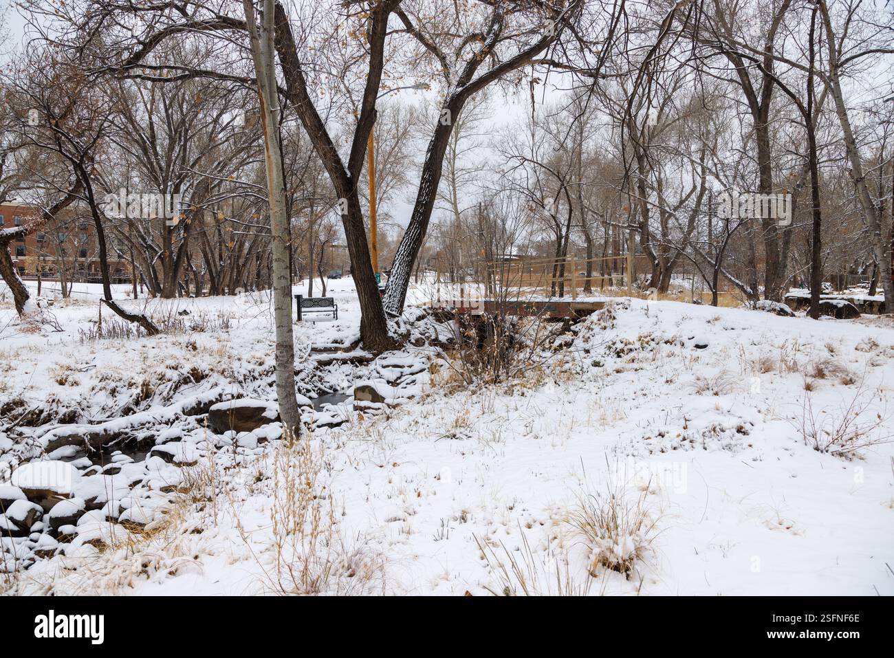 Snow in Arizona Stock Photo - Alamy