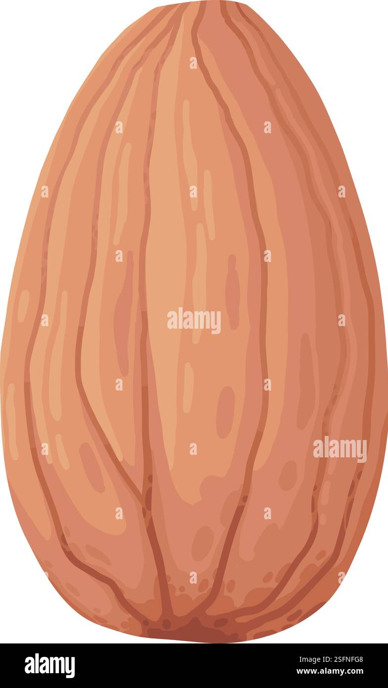 Cartoon almond. Delicious tasty almond snack, raw almonds in shell flat ...