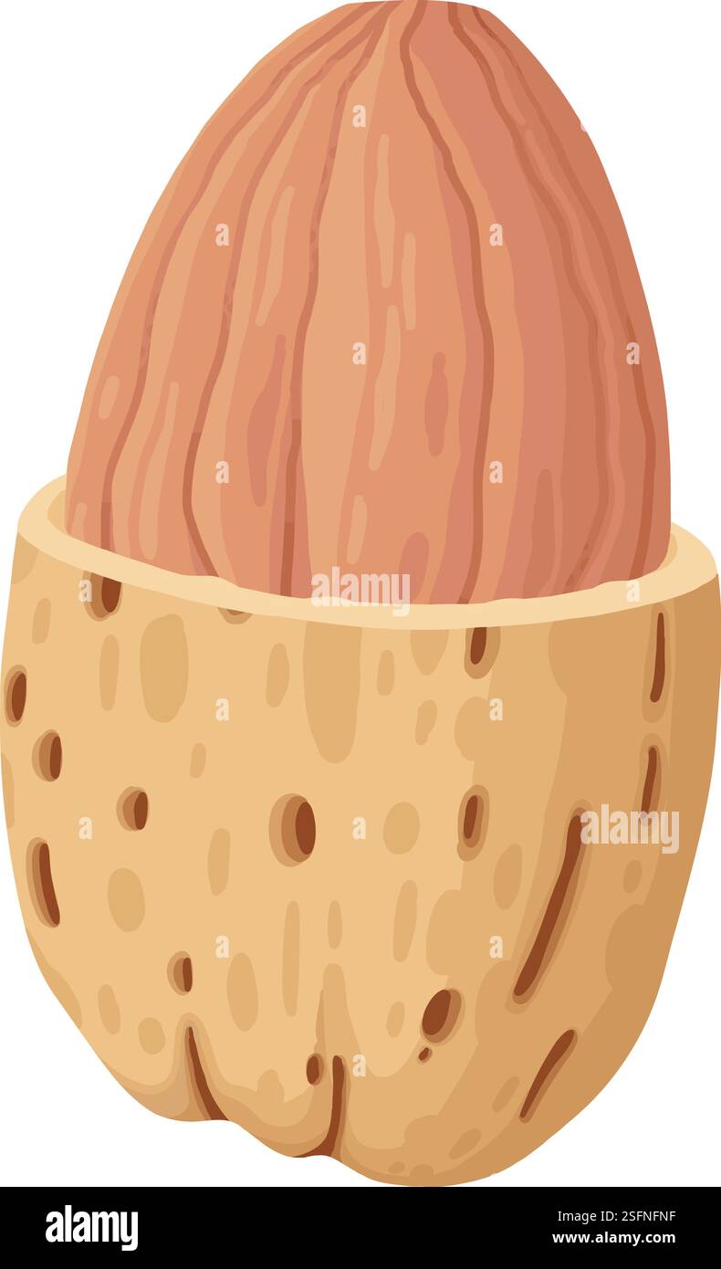 Cartoon almond. Delicious tasty almond snack, raw almonds in shell flat ...