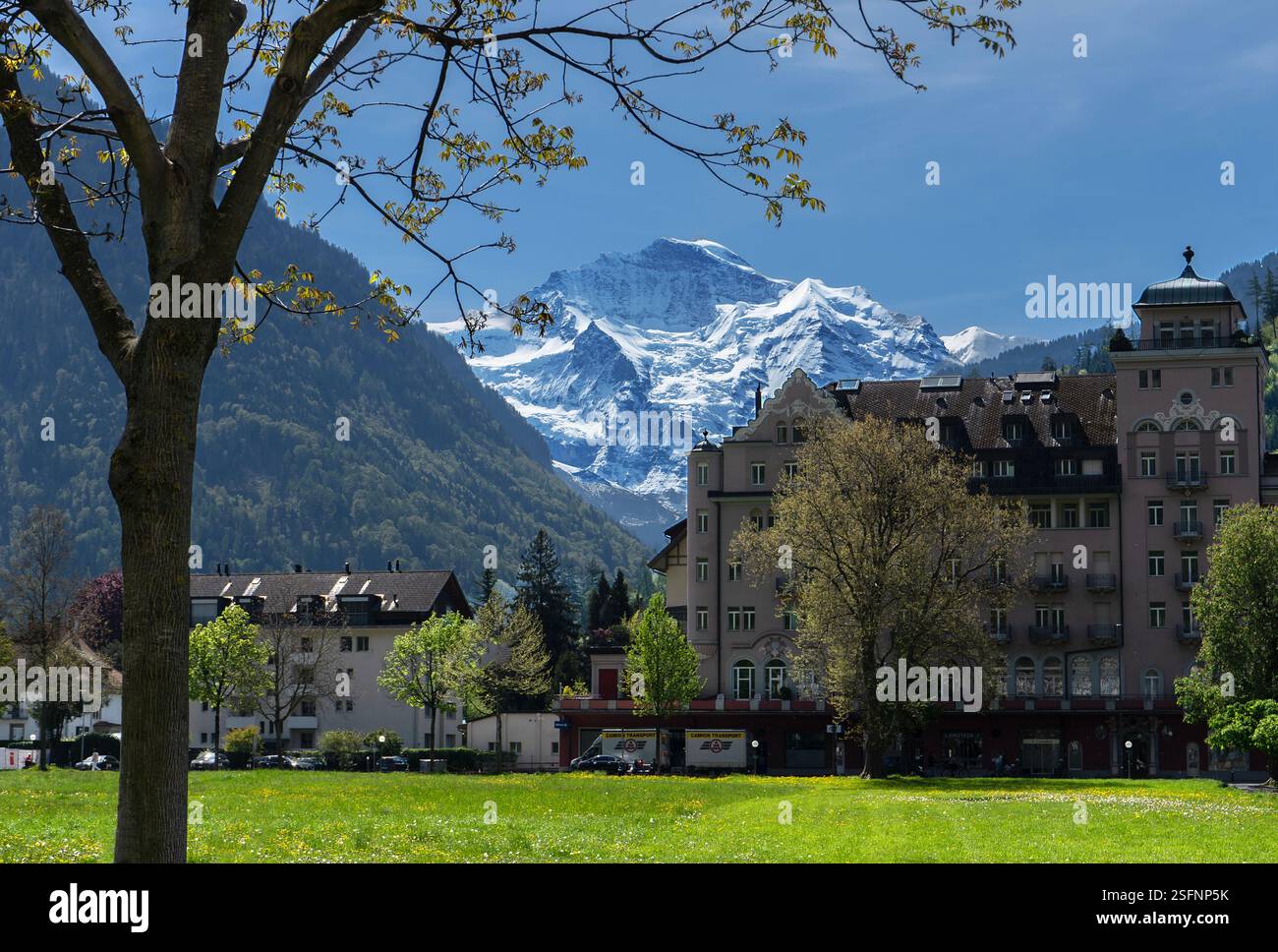 view-of-the-jungfrau-from-hohematte-park-interlaken-switzerland-stock
