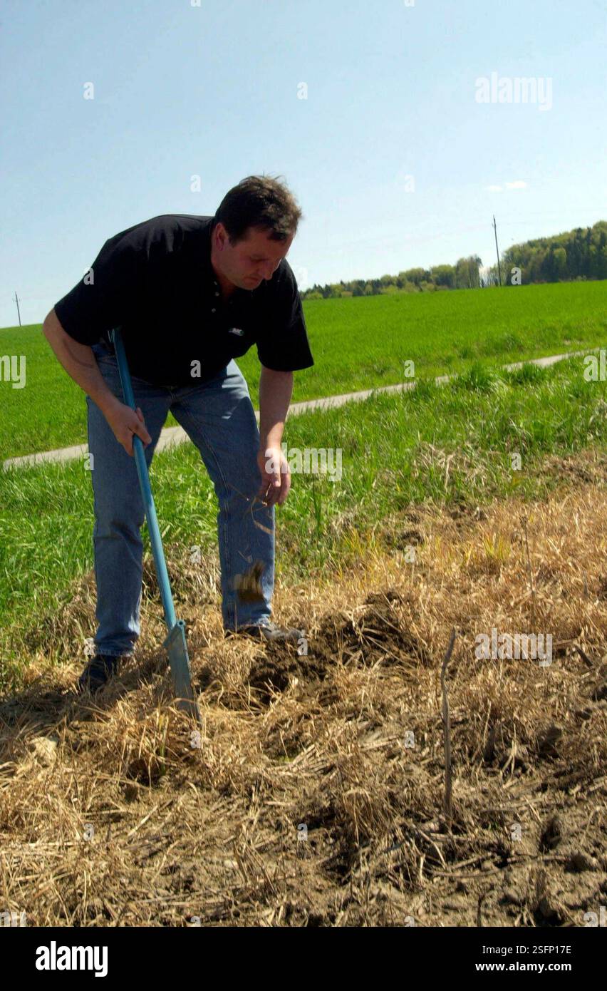 taking a soil sample on a field in agriculture, usable land and arable ...