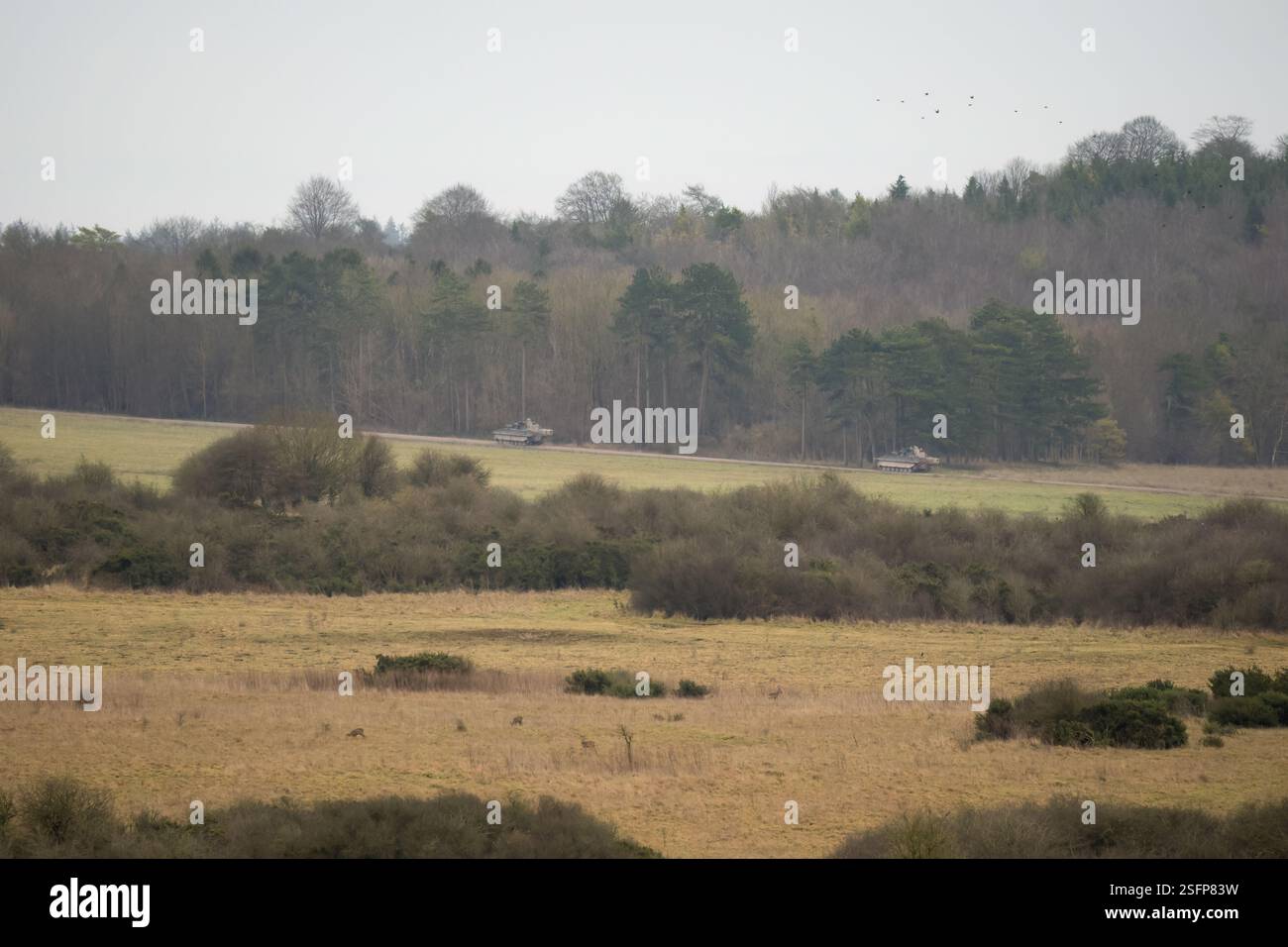 a pair of British army 245 Ajax AFV, ISTAR tank tracked combat vehicles ...