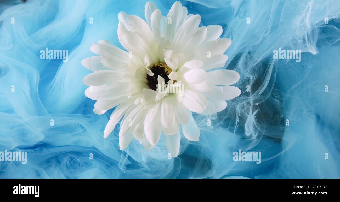 Smoke explosion mist flower hi-res stock photography and images - Alamy