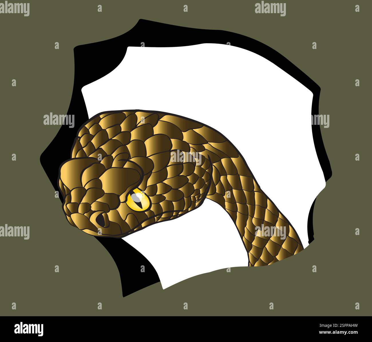 Green snake emerging from a hole with intense gaze Stock Vector Image ...